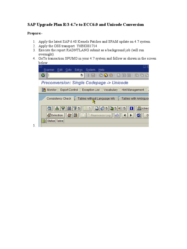 Upgrade-To ECC60-Unicode-Conversion | PDF | Digital Technology | Data ...