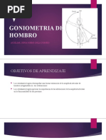 Guía de Ejercicios de Flexión de Hombro | PDF | Codo | Hombro