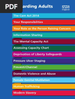 Safeguarding Thresholds Matrix Guide | PDF | Violence | Consent