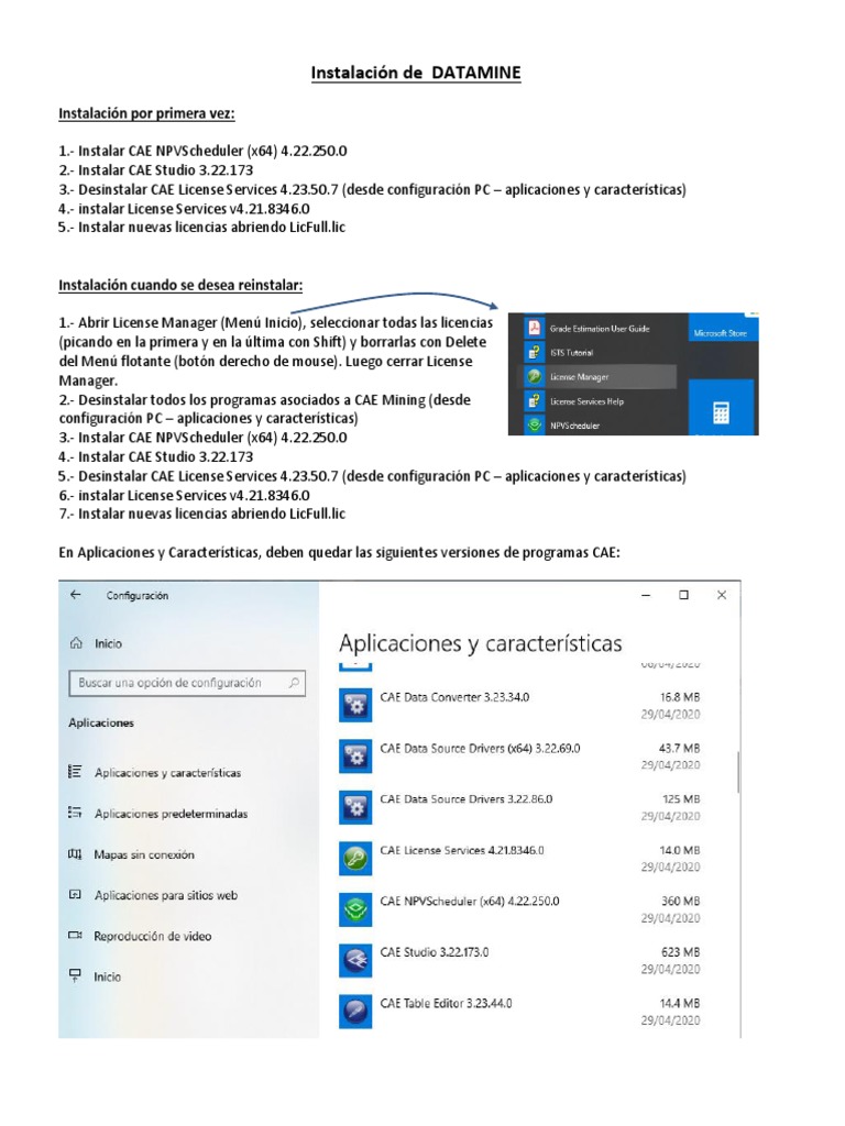 Instalacion Datamine y NPV | PDF