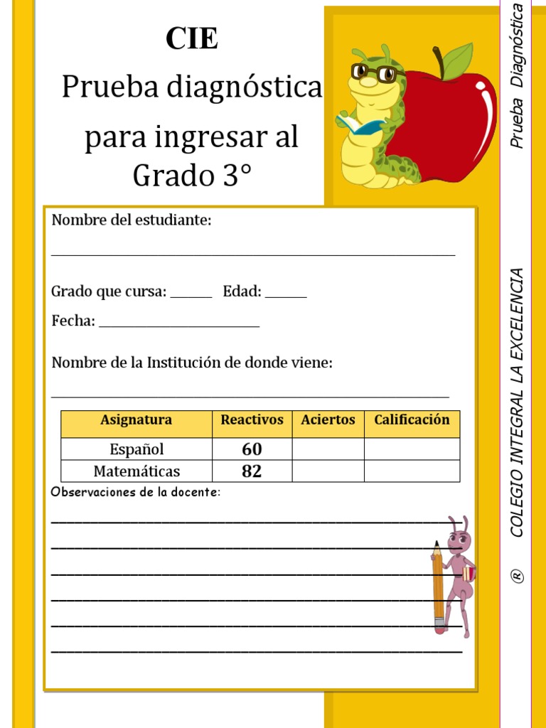 Prueba Diagnostica Grado Tercero | PDF