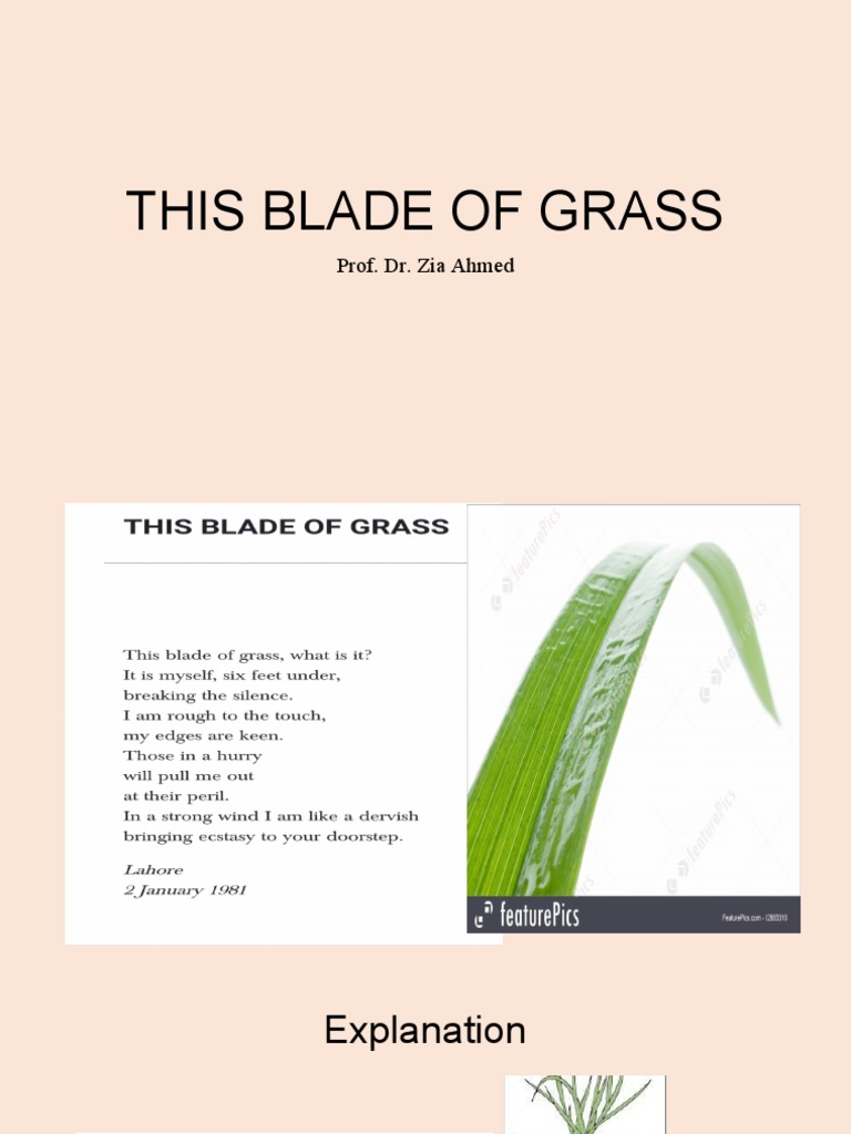 Analysis of "This Blade of Grass" Poem | PDF | Religion & Spirituality ...