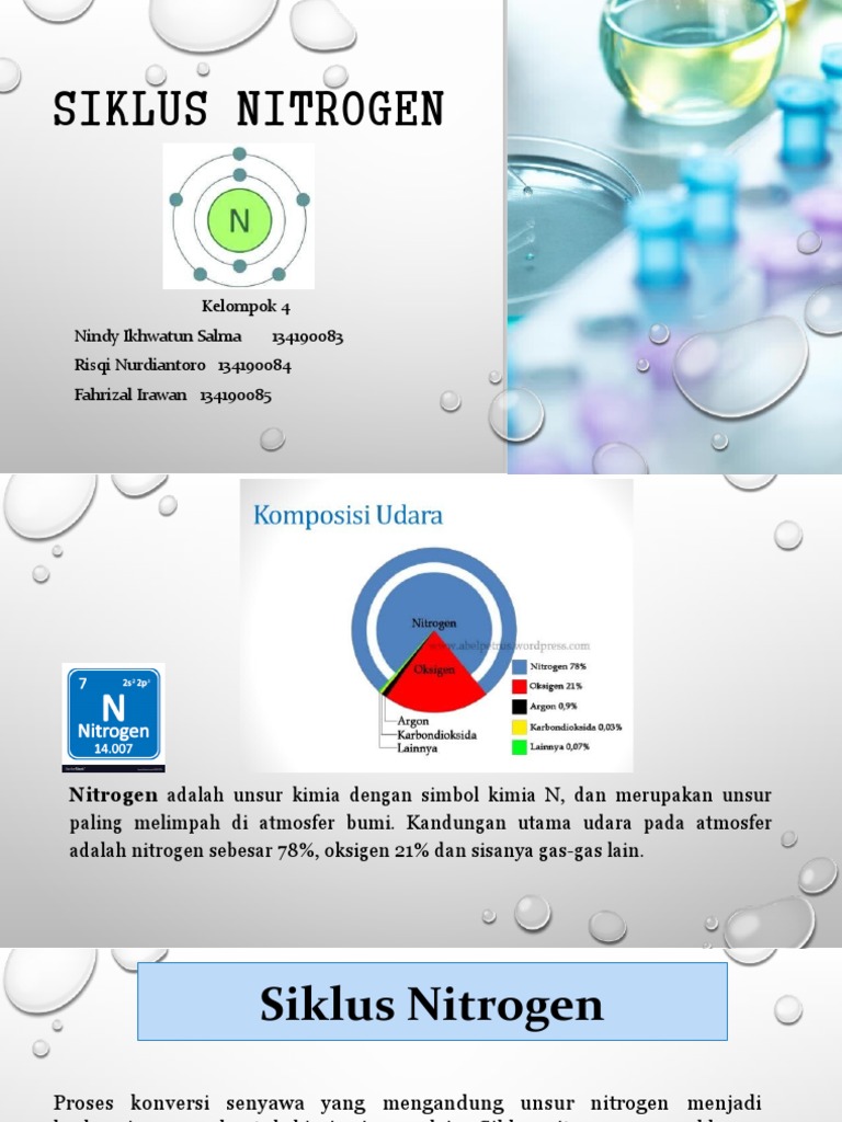 Biokimia Siklus Nitrogen | PDF