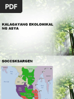Kaingin System | PDF