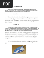 Electric Flat Iron Parts and Functions | PDF | Thermostat | Electricity