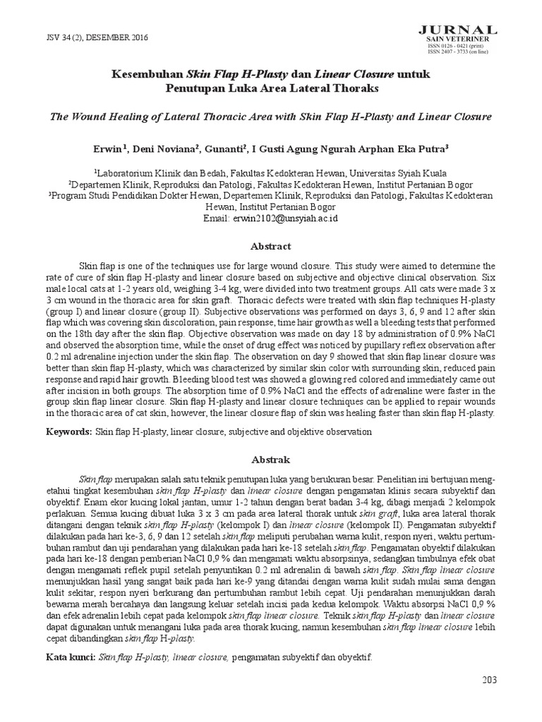 ID Kesembuhan Skin Flap H Plasty Dan Linear PDF | PDF | Medical ...