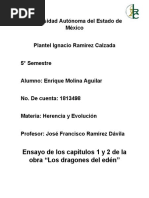 Historia y hallazgo del fósil Naia | PDF | Adn | Vida