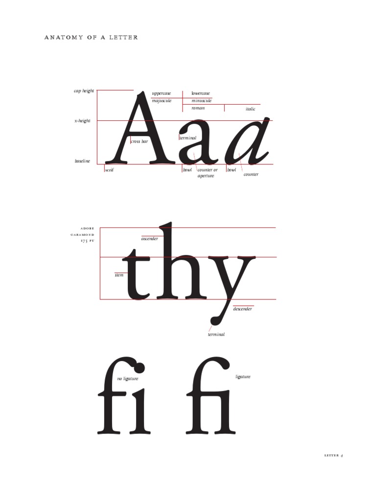 Bodoni Typeface Anatomy