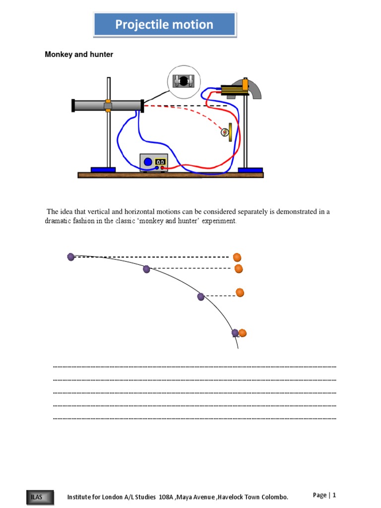 Projectile Motion: Monkey and Hunter | PDF | Projectiles | Physics