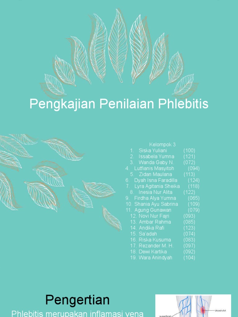Pengkajian Plebitis | PDF | Sains & Matematika