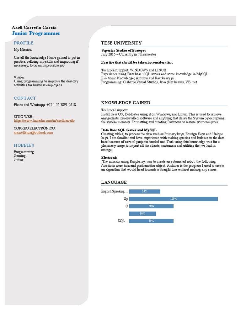 Curriculum Ingles | PDF | Microsoft Sql Server | Computer Programming