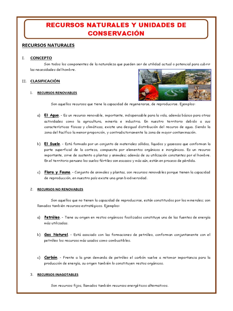 Recursos Naturales y Conservación en Perú | PDF | Energía renovable ...