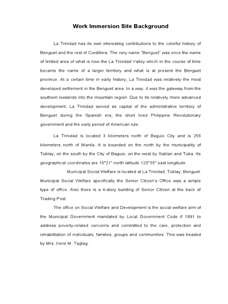 Work Immersion Site Background | PDF