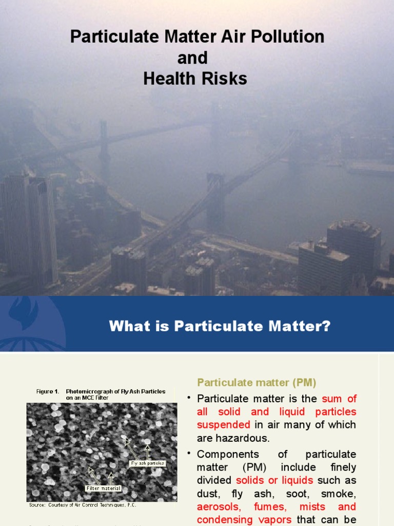 VKM PPT-Particulate - Matter - Module | PDF | Particulates | Air Pollution
