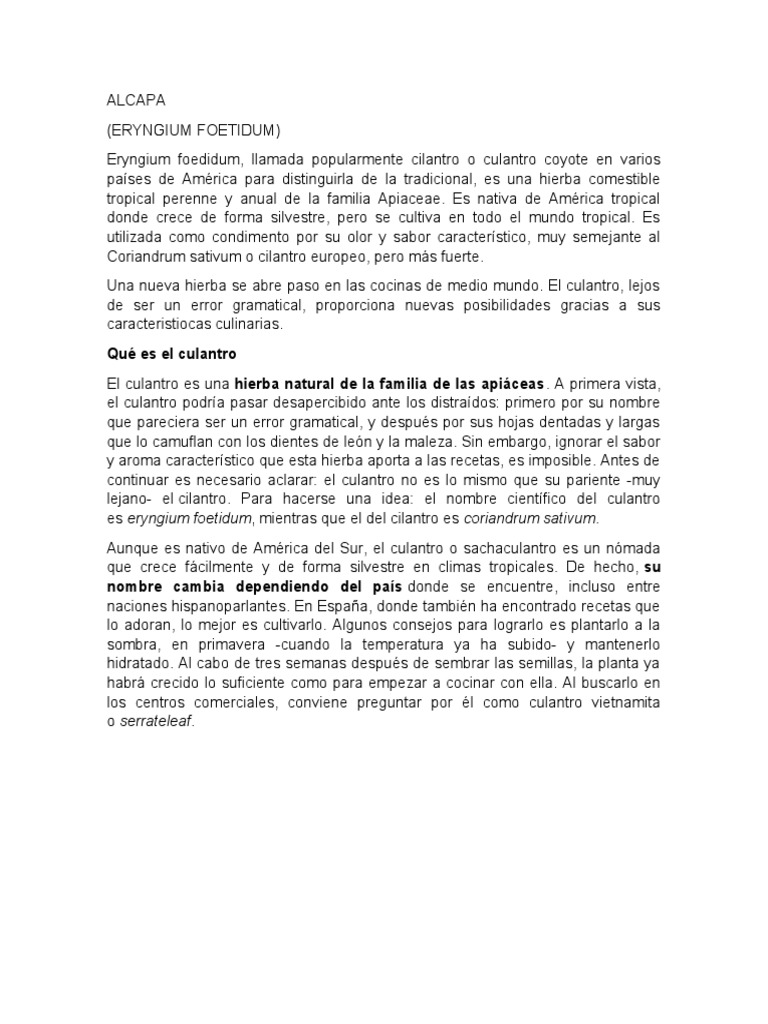 ALCAPA | PDF | Cilantro | Plantas