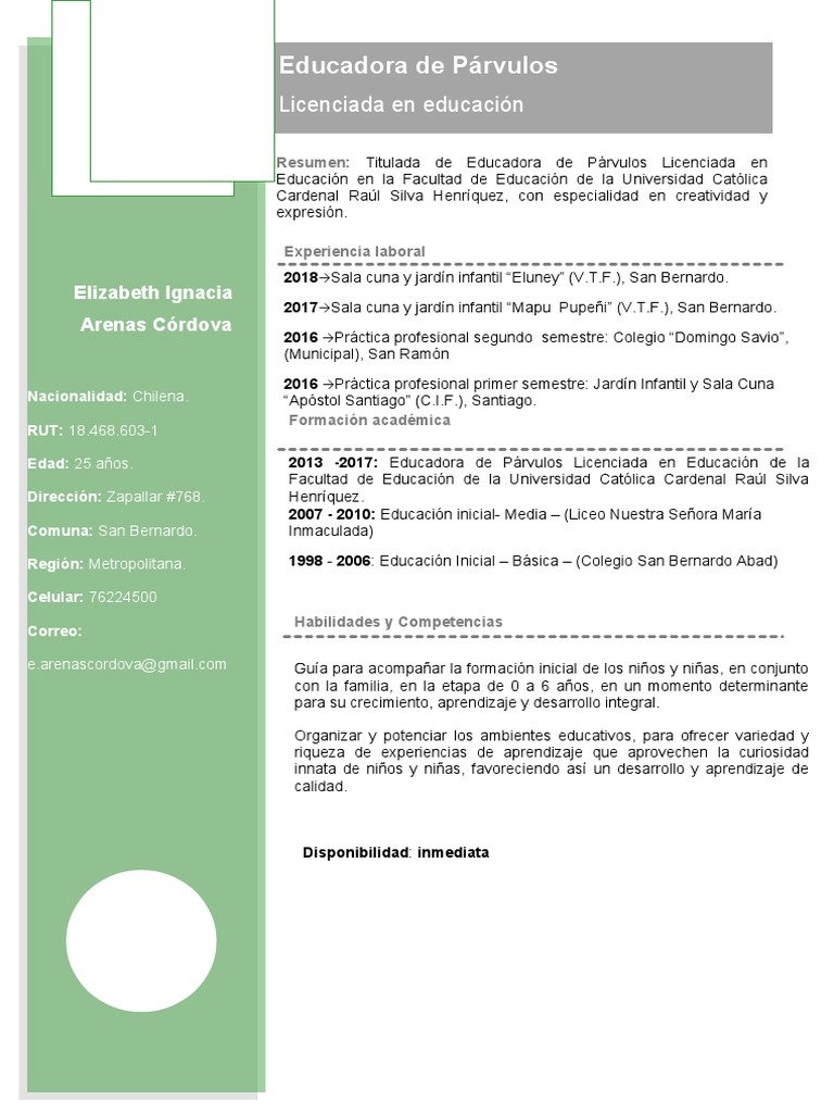 Curriculum Ely Nuevo | PDF