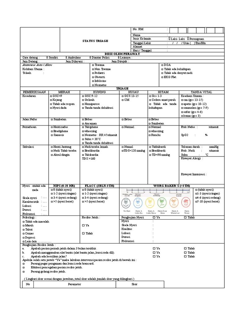 Form TRIAGE | PDF Form TRIAGE | PDF