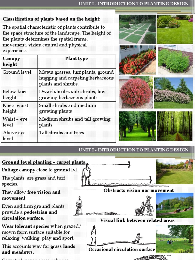 Plant Classification by Height | PDF | Shrub | Trees