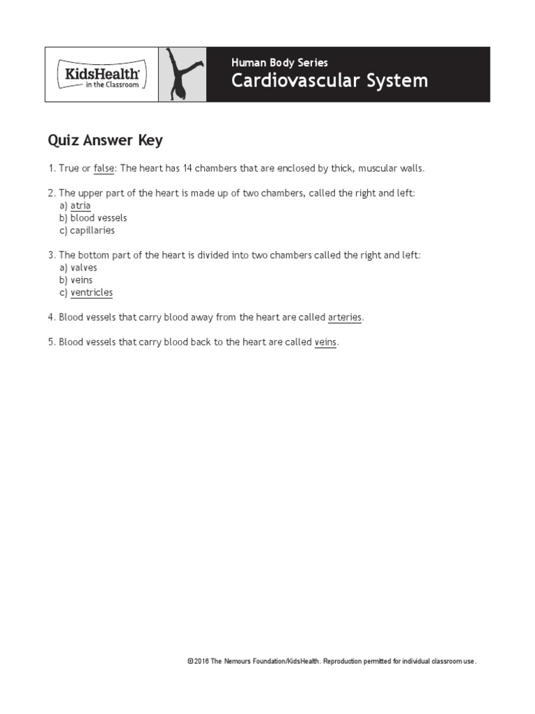 Cardiovascular System Quiz Answers | PDF | History