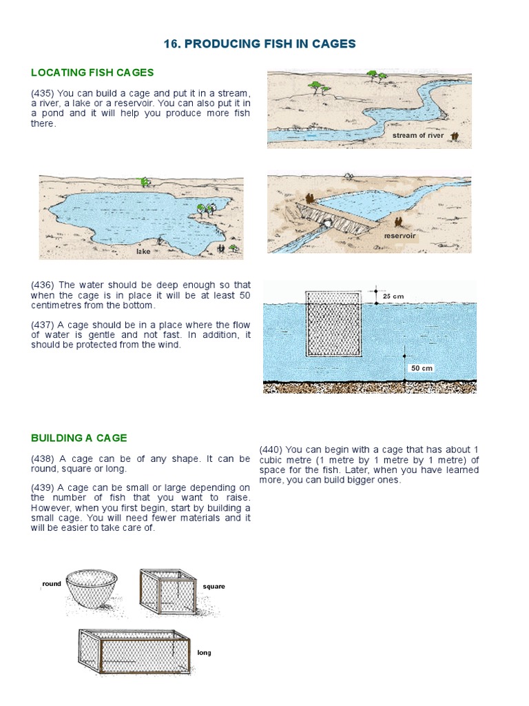 HANDBOOK16. Producing Fish in Cages FAO | PDF | Rope | Fish