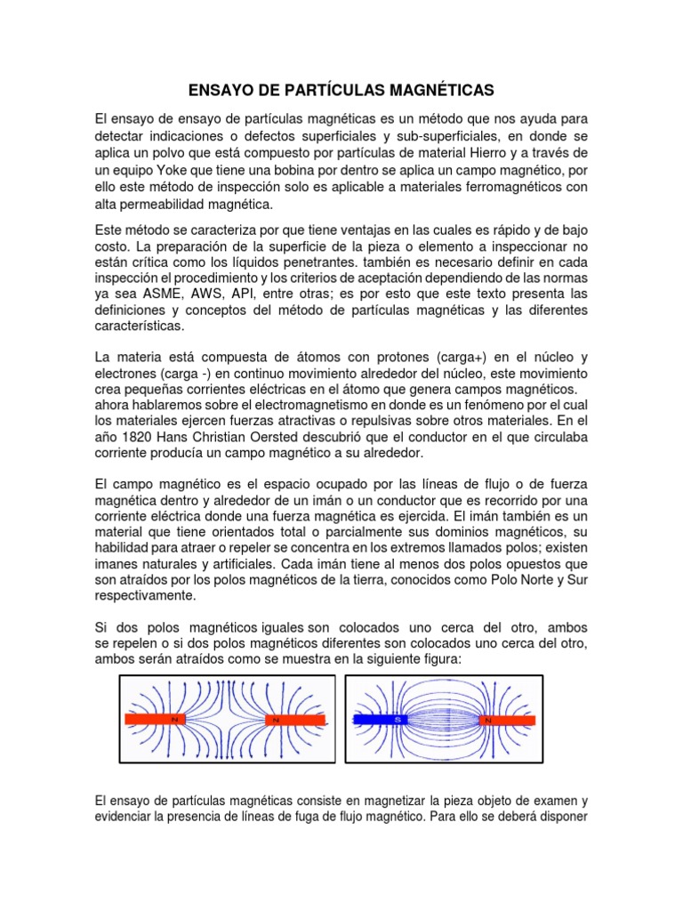 Ensayo de Partículas Magnéticas | PDF | Magnetismo | Imán