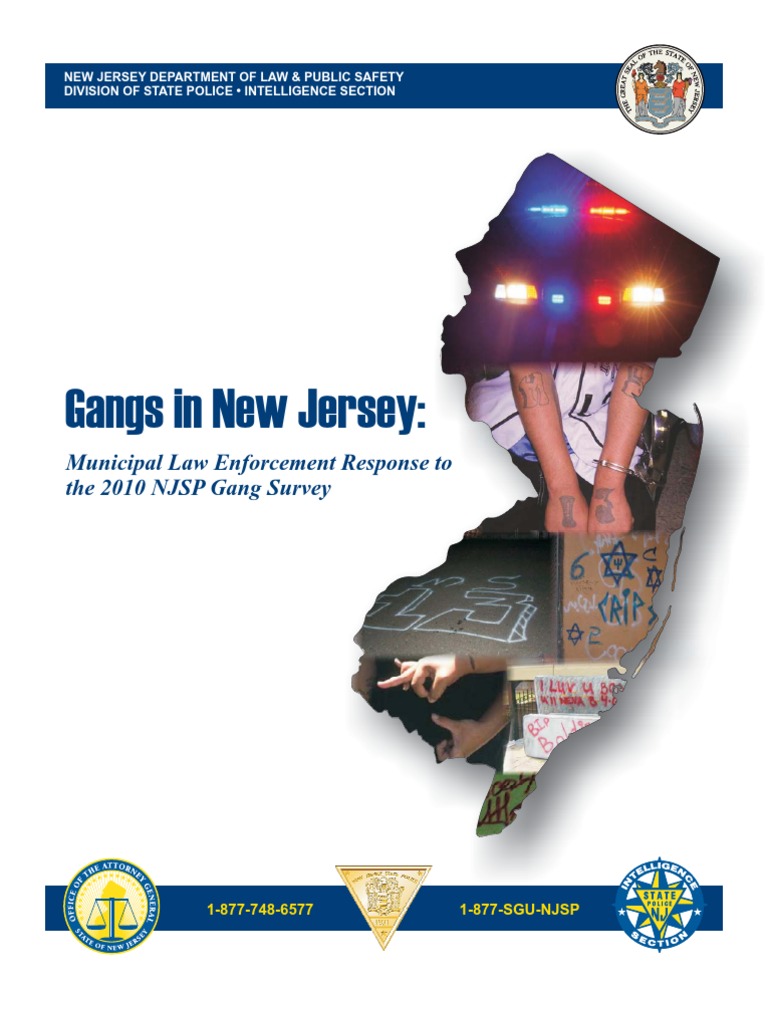 Gangs in New Jersey: Municipal Law Enforcement Response To The 2010 ...