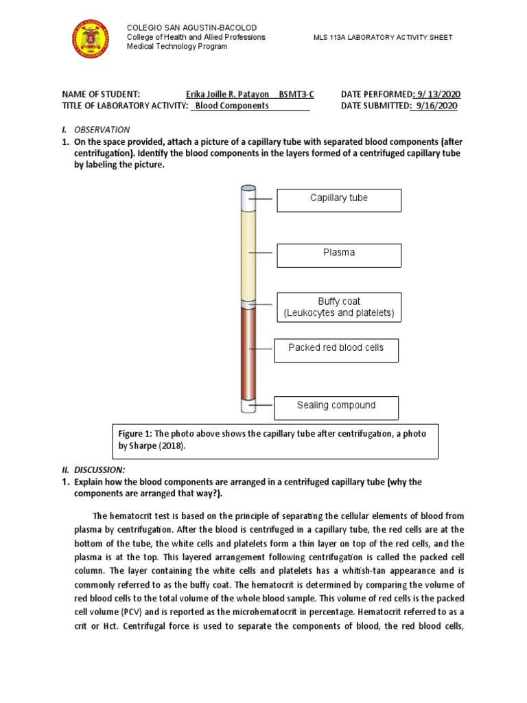Act 4 Blood Components Worksheet | PDF | Blood | Red Blood Cell