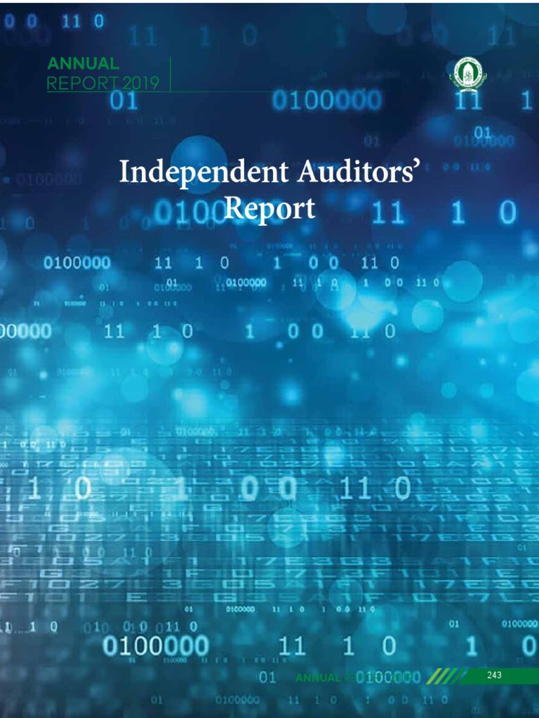 Financial Statements For The Year 2019 | PDF | Going Concern | Internal ...