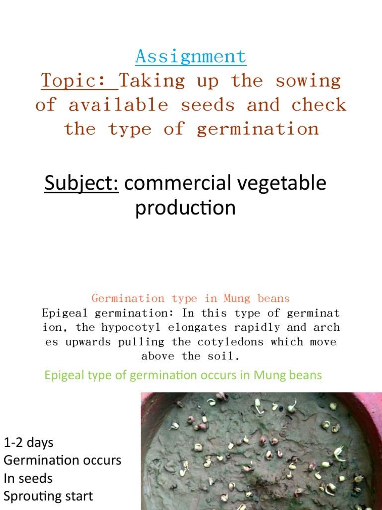 Vegetable Seed Germination Guide | PDF | Technology & Engineering