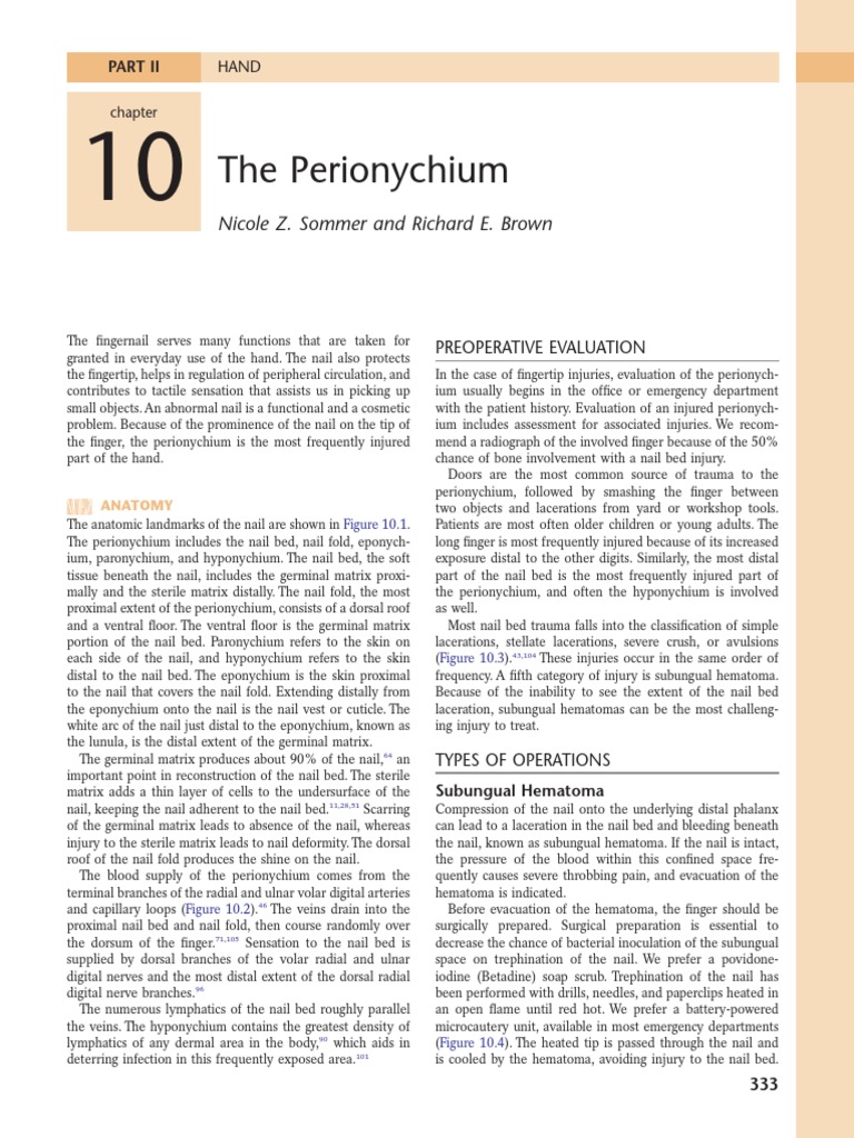10 - The Perionychium PDF | PDF | Nail (Anatomy) | Hand