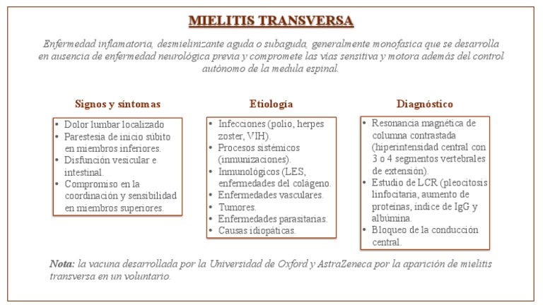 Causas y síntomas de mielitis transversa | PDF