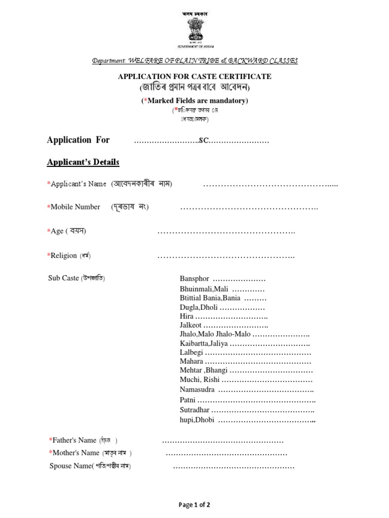 Application For Caste Certificate | PDF | Government