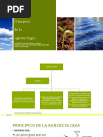 Raiz Axonomorfa | PDF | Raíz | Tallo de la planta