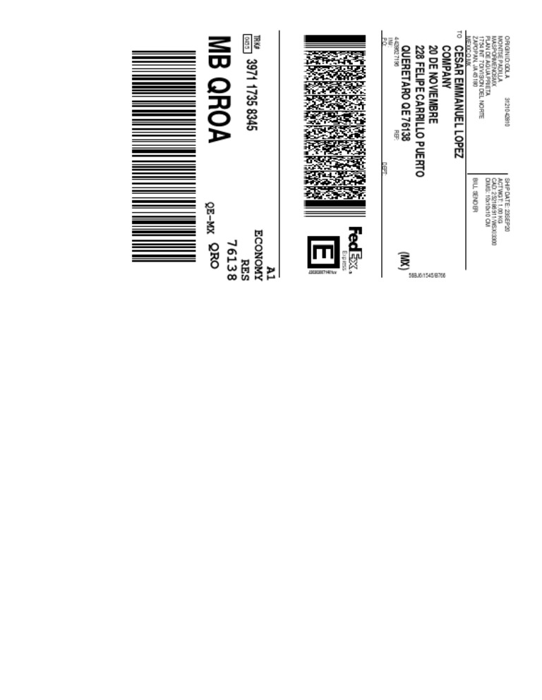 Fedex | PDF
