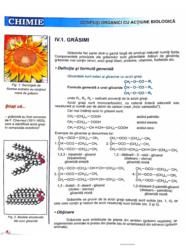 Grasimile | PDF
