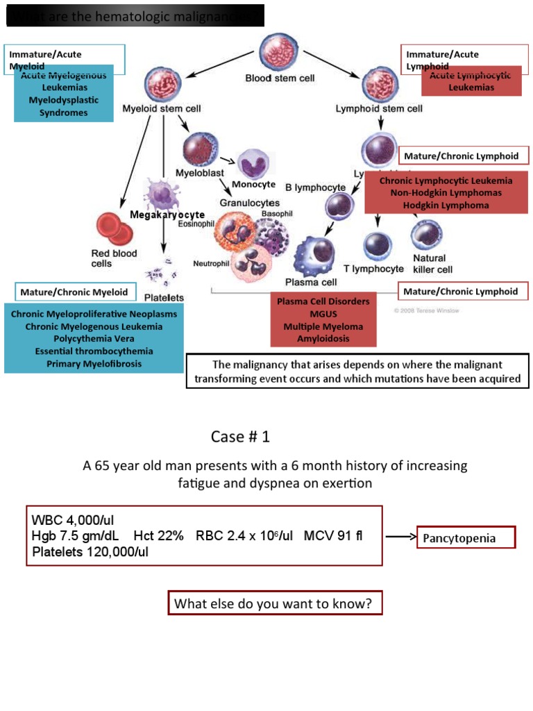 Overview of Hematologic Malignancies | PDF | Lymphoma | Chemotherapy