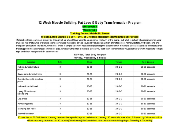 12 Week Muscle Building, Fat Loss & Body Transformation Program | PDF ...