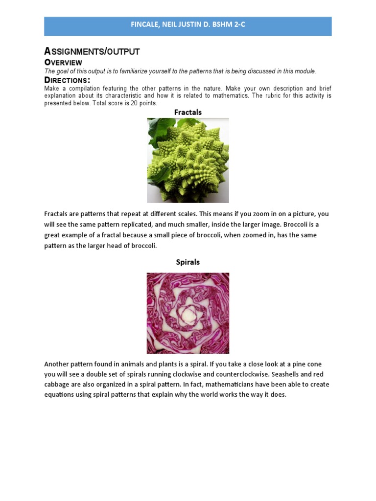 Patterns in Nature, Mathematics Assignment | PDF | Pattern | Waves