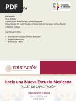 Carta Programatica - Enm | PDF