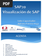 Manual de Sap PDF | PDF