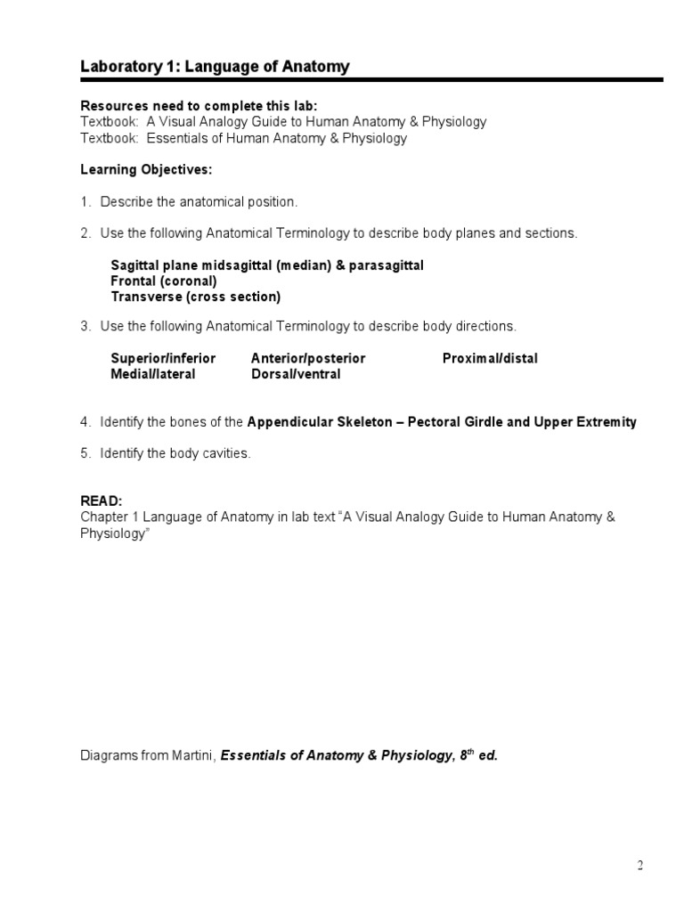 ONLINE - Lab 1 - Language of Anatomy | PDF | Anatomical Terms Of ...