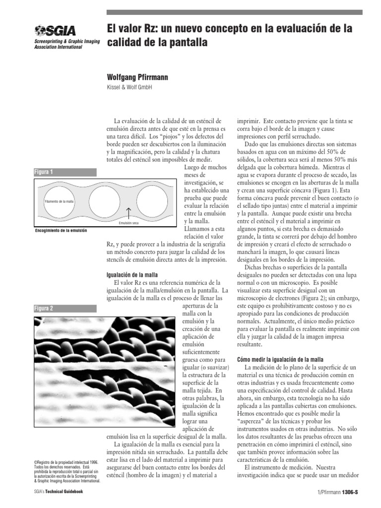 Valor RZ | PDF | Medición | Naturaleza