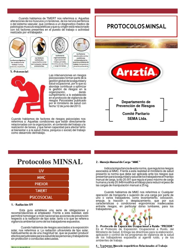 Protocolos Minsal PDF | PDF | Seguridad y salud ocupacional | Especialidades Medicas