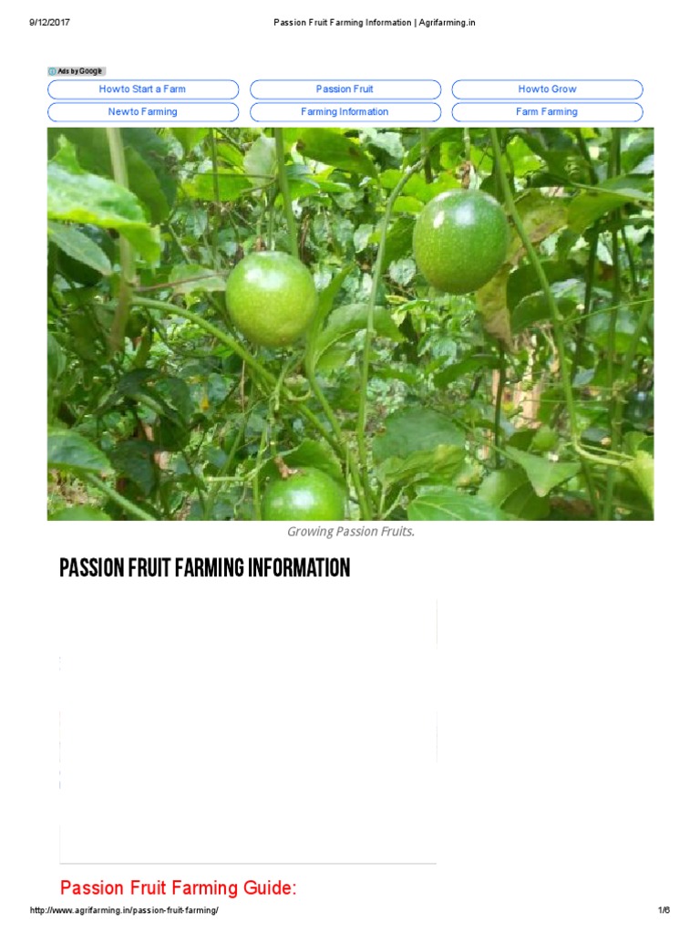 Passion Fruit Farming Information - Agrifarming | PDF | Plant Nursery ...