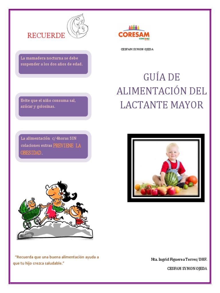 Guía Anticipatoria Alimentación Del Lactante Mayor | PDF