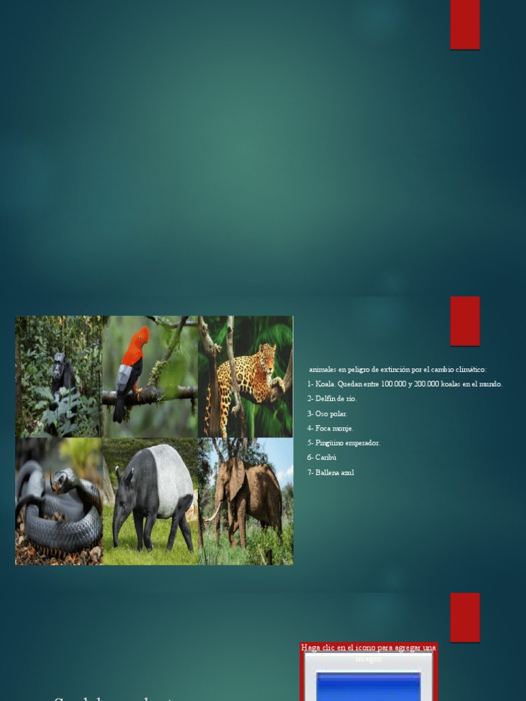 LHLHLHL | PDF | Clima | Organismos