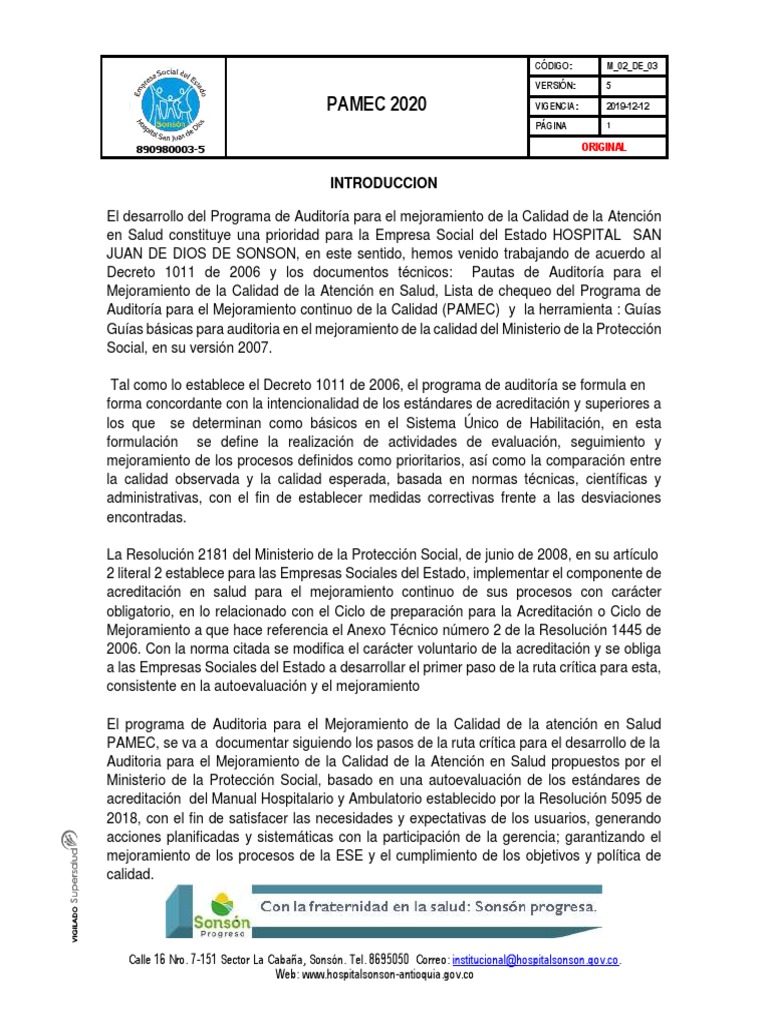 Ejemplo Pamec | PDF | Calidad (comercial) | Hospital