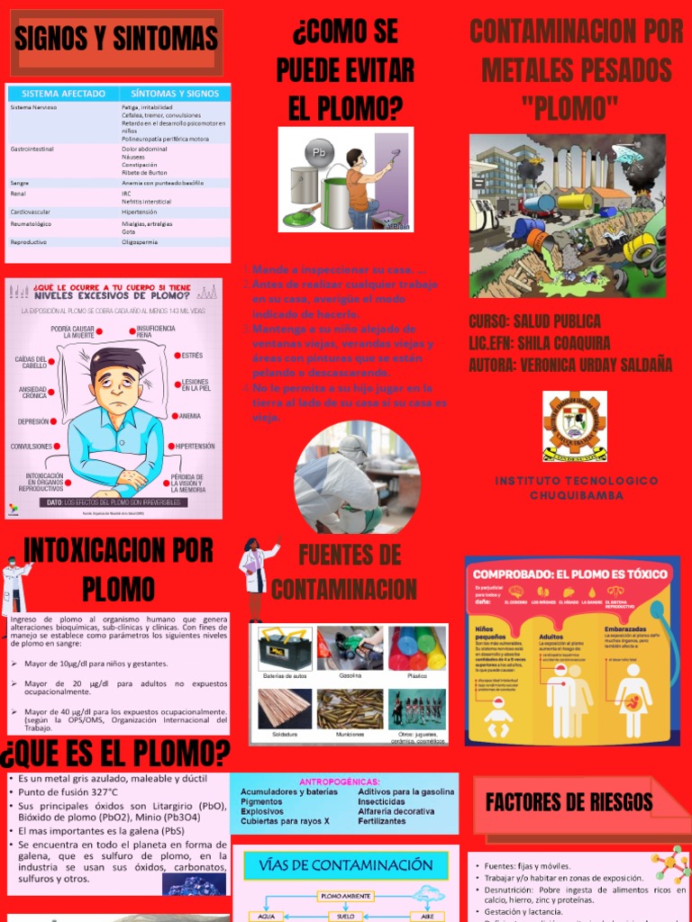 Triptico-Metales Pesados | PDF