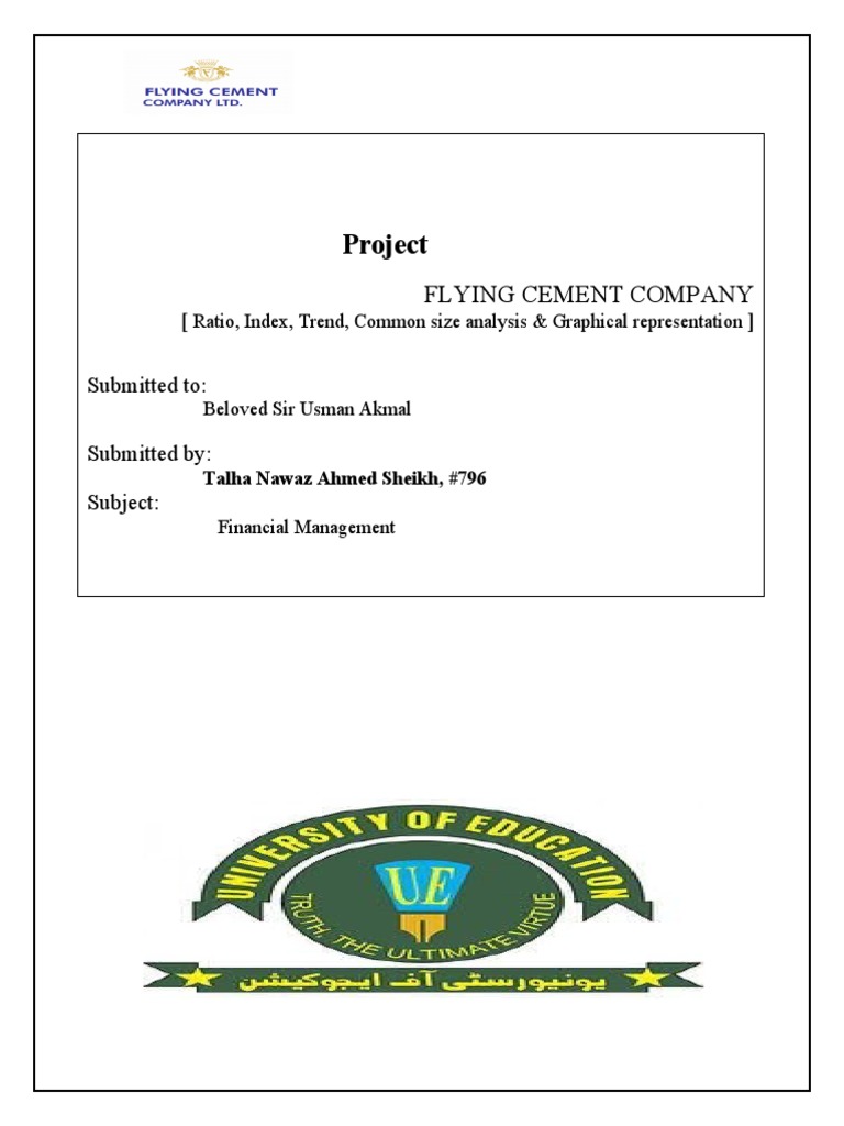 Project: Flying Cement Company | PDF | Gross Margin | Net Income