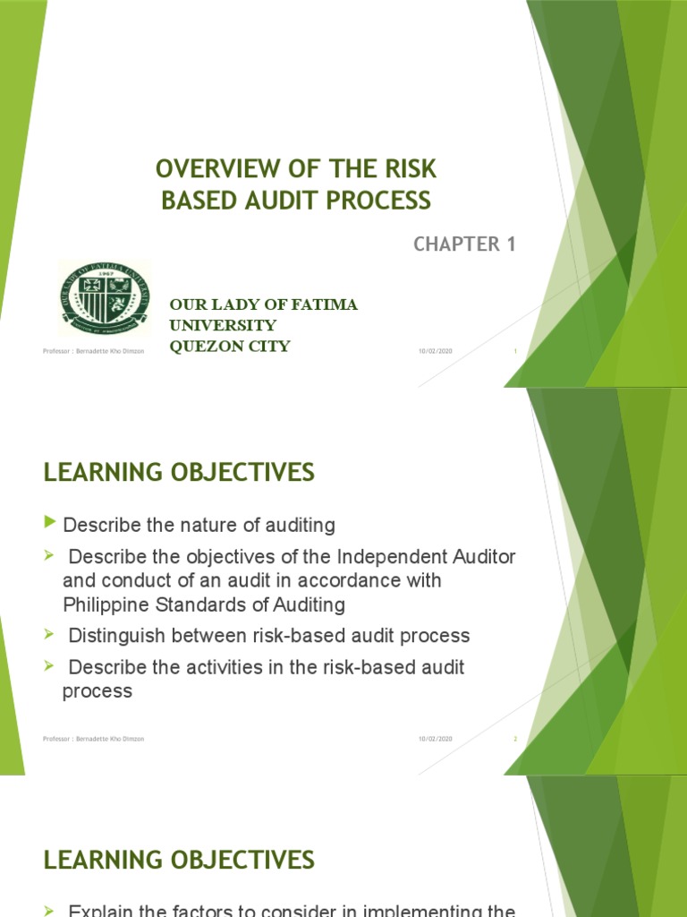 Module 1 Overview of The Risk-Based Audit Process | PDF | Financial Audit | Audit
